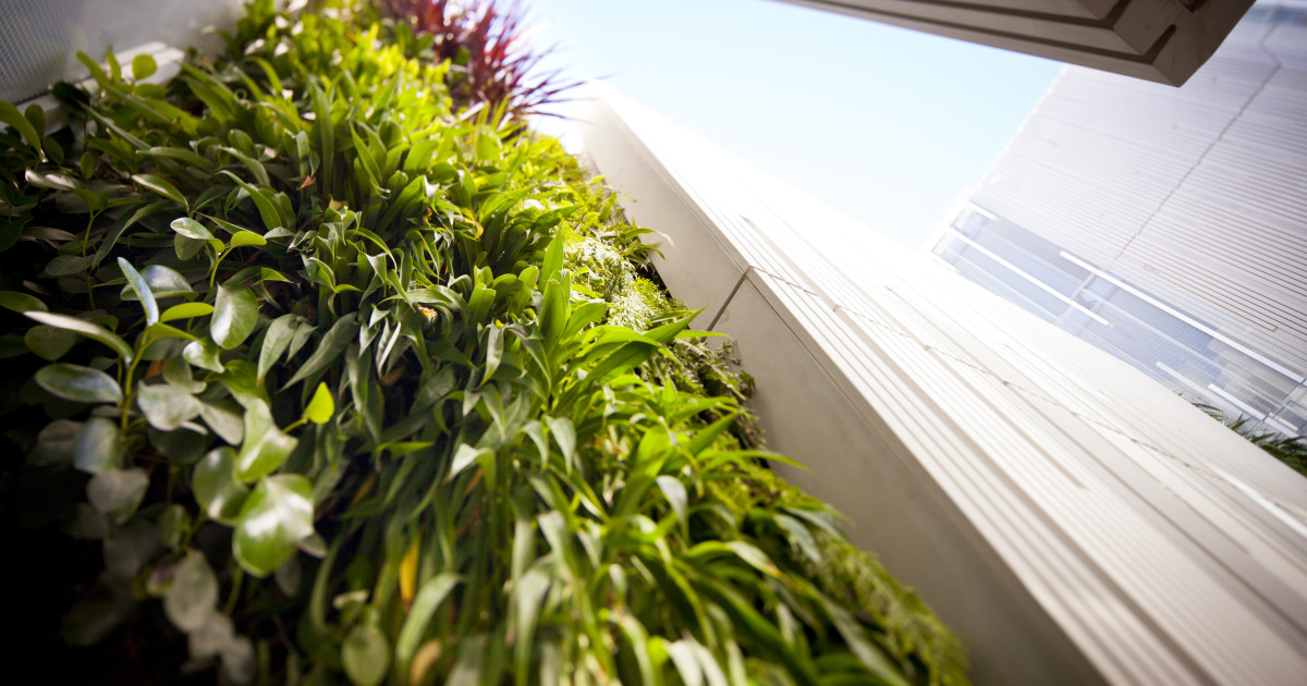 Geyser Building Green Wall - Natural Habitats Landscapes