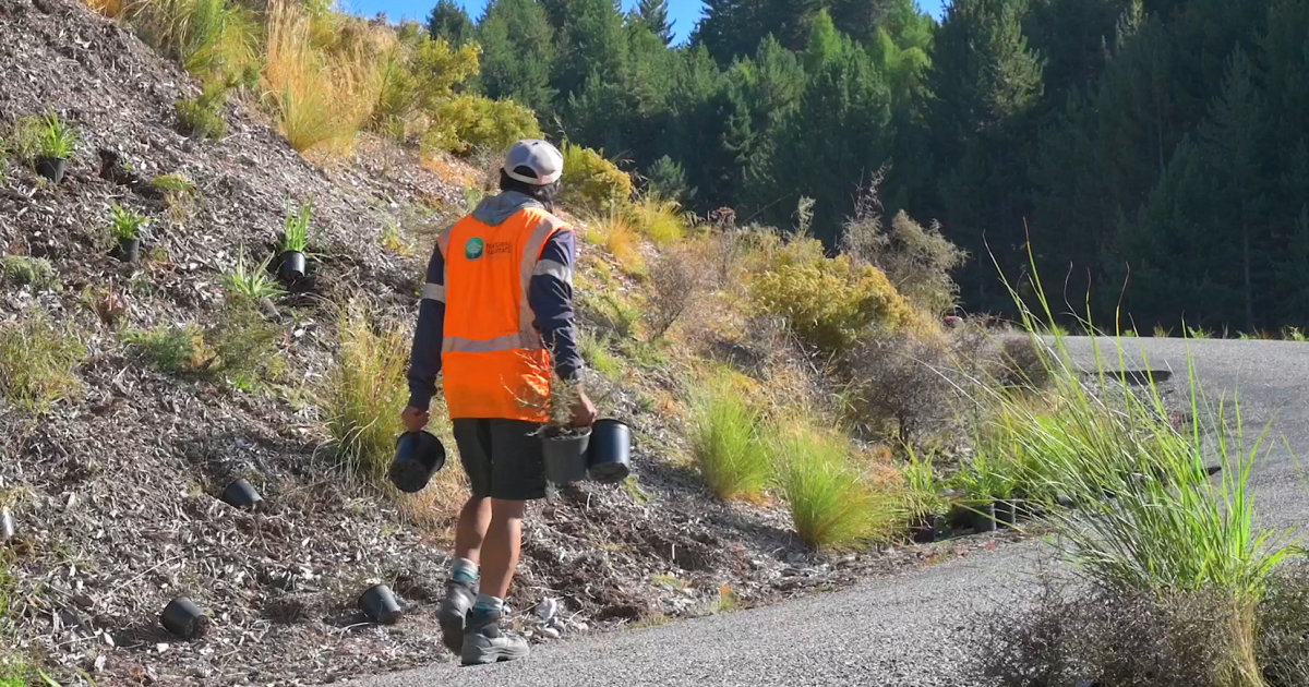 #PlantYourLegacy - Peter - Natural Habitats Landscapes