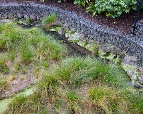 South East Asia Jungle Trail - Auckland Zoo - Natural Habitats