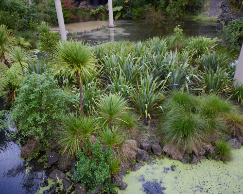 South East Asia Jungle Trail - Auckland Zoo - Natural Habitats