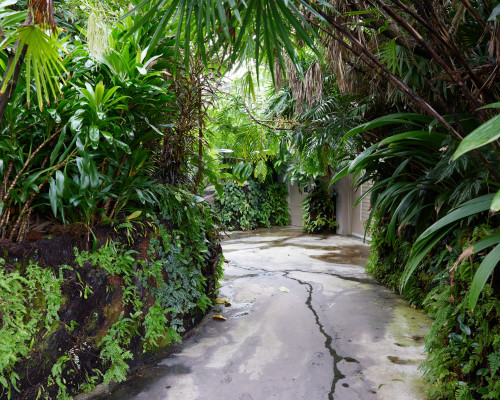 South East Asia Jungle Trail - Auckland Zoo - Natural Habitats