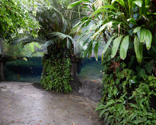 South East Asia Jungle Trail - Auckland Zoo - Natural Habitats