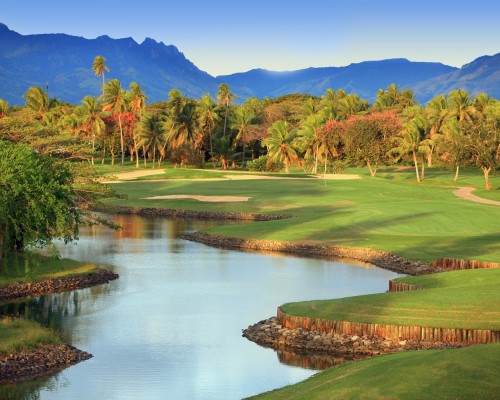 Denarau Island Resort, Fiji - Natural Habitats