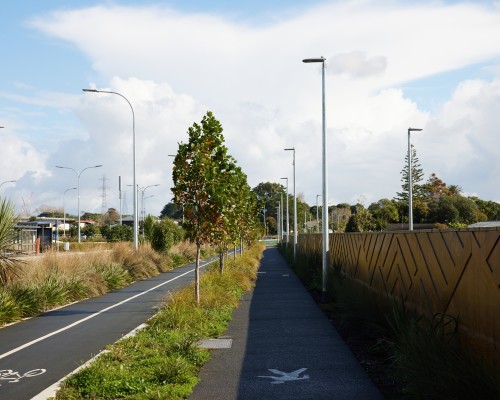Panmure Busway - Infrastructure Landscaping - Natural Habitats