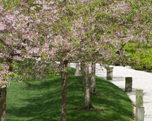 Natural Habitats Award-winning Landscaping - Natural Habitats