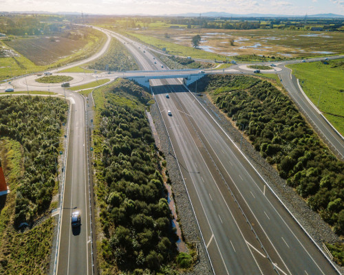 Waikato Expressway - Infrastructure Planting - Natural Habitats