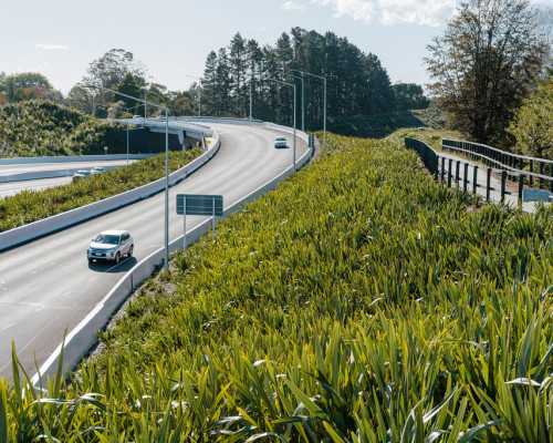 Waikato Expressway - Infrastructure Planting - Natural Habitats